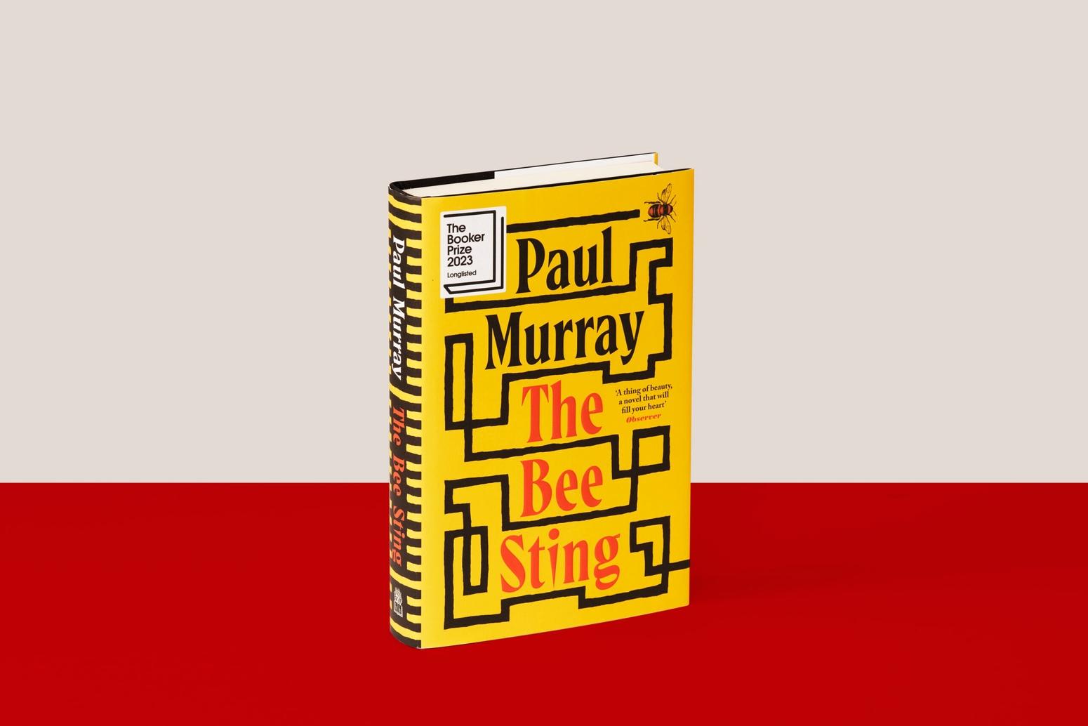 Interview: Paul Murray on The Bee Sting's Booker Prize shortlisting