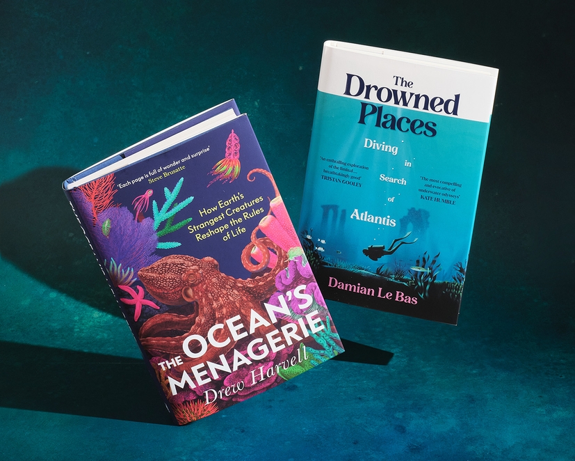 Extract: Year of the Rat by Harry Shukman